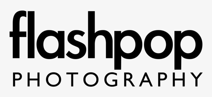 Chris Lipton - Black-and-white Transparent PNG - 904x400 - Free ...