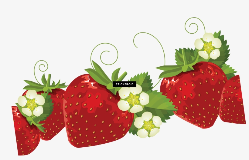 Strawberrys Fruits Nuts Strawberry - Strawberries Border Transparent ...