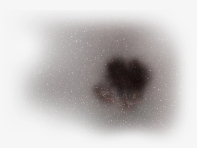 Alt Alt - Macro Photography Transparent PNG - 1167x820 - Free Download ...