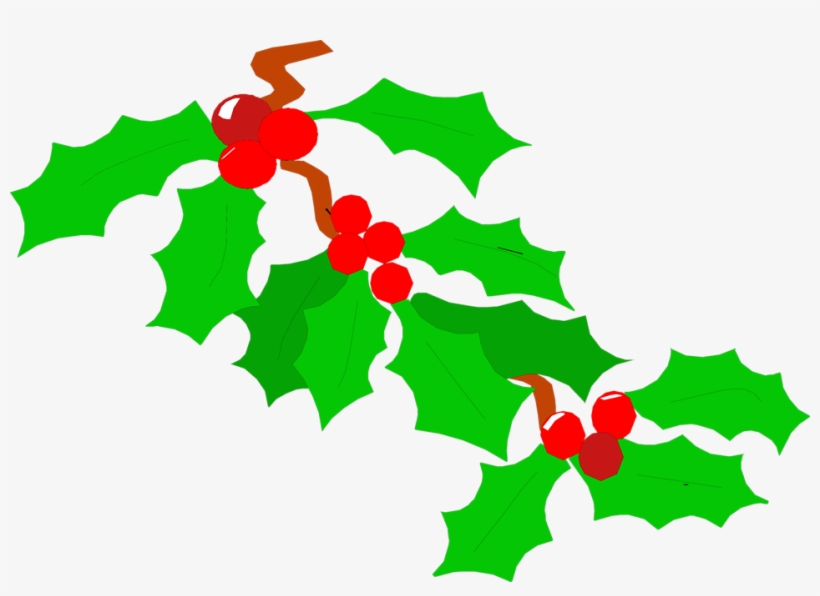 Vector Bush Holly - Holly Clipart No Background Transparent PNG ...