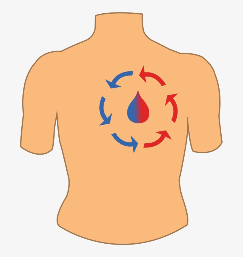 Cvs - Illustration Transparent PNG - 710x815 - Free Download on NicePNG