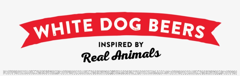 Animals - Oval Transparent PNG - 1000x288 - Free Download on NicePNG
