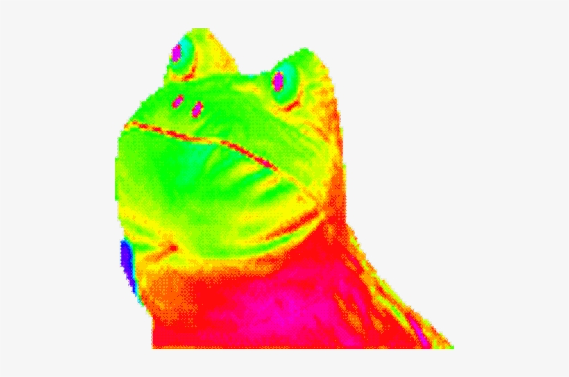 Download Crazy Frog - Dank Meme Rainbow Frog - HD Transparent PNG - NicePNG.com