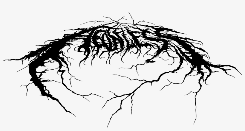 Psd File Formats - Art Transparent PNG - 3000x1466 - Free Download on ...