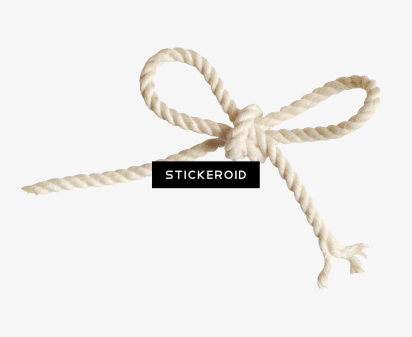 Download Rope - Knot - HD Transparent PNG - NicePNG.com