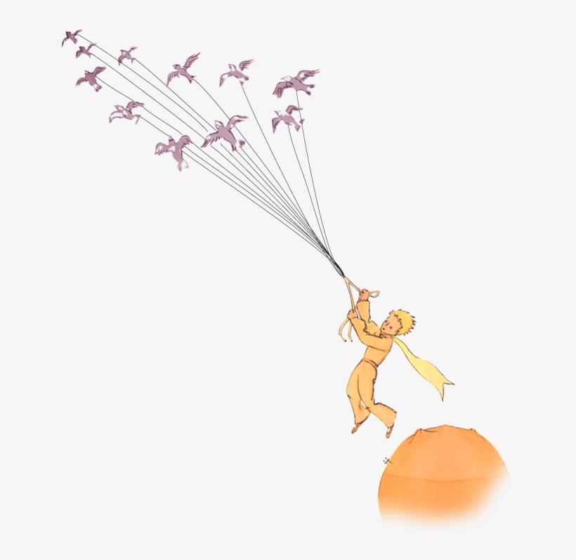 Para Fugir, O Principezinho Aproveitou Uma Migração - Little Prince ...