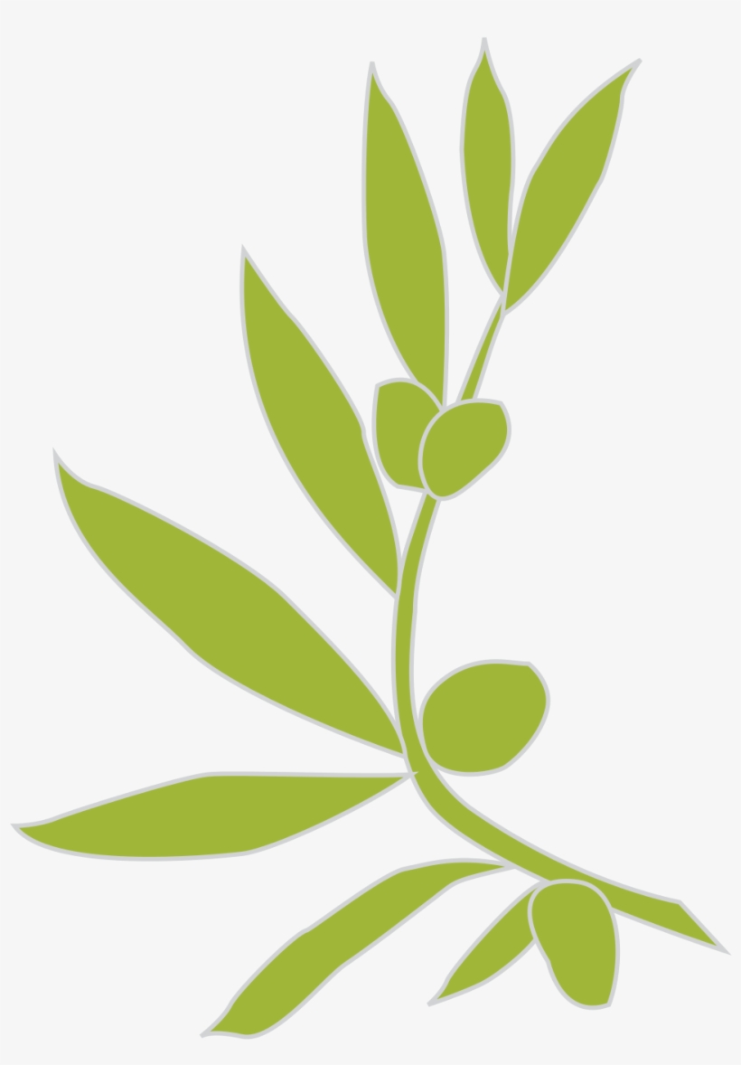 Open - Olive Branch Heraldry Transparent PNG - 1000x1414 - Free ...