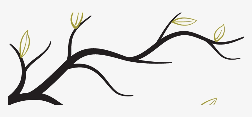 Download Branch Png - Tree Branch Header Png - HD Transparent PNG ...