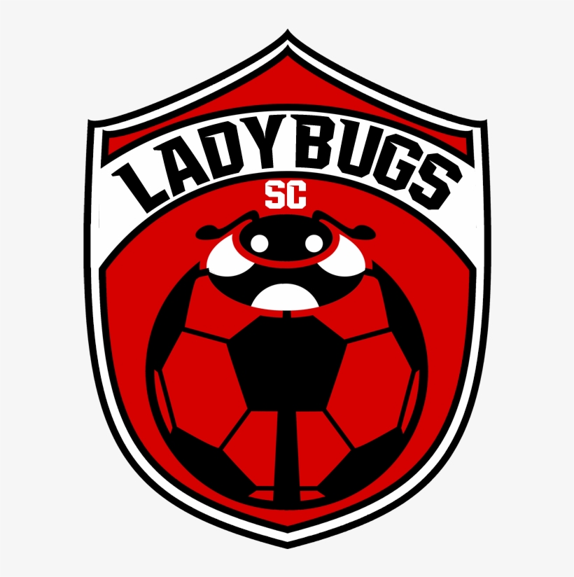Ladybugs Soccer Crest - Wild Republic Soccer Sport Pillow, Black ...