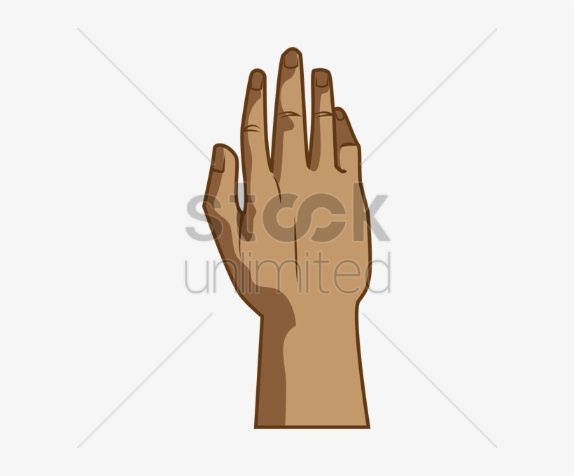 Back Of Hand Png - Back Hand Vector Png Transparent PNG - 600x600 ...