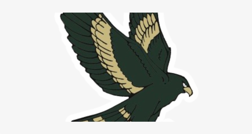 Greenfield Hawks - Greenfield Hawks Logo Transparent PNG - 480x355 ...