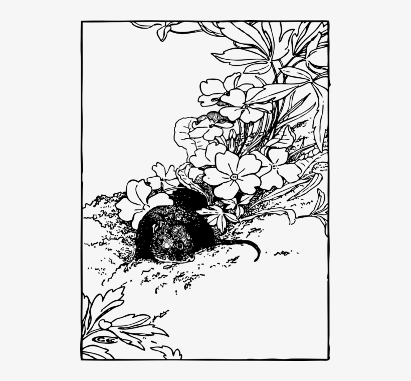 Vector - Drawing Transparent PNG - 500x679 - Free Download on NicePNG