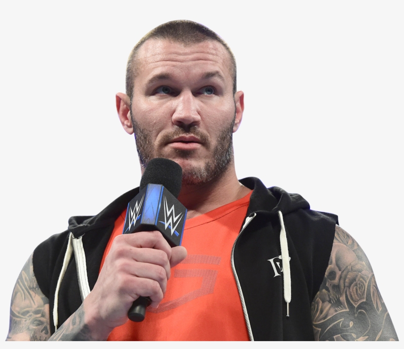 Randy Orton - Rko - Randy Orton Transparent PNG - 1296x1060 - Free ...