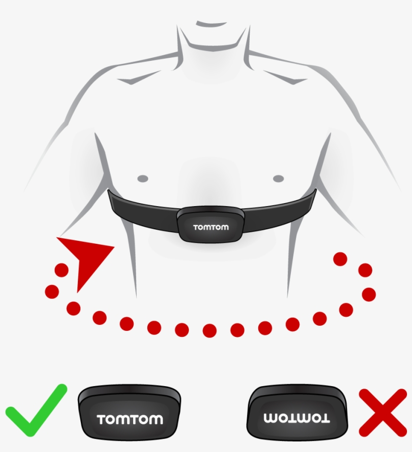 Cinta Cardiaca Tomtom Transparent PNG - 937x1051 - Free Download on NicePNG