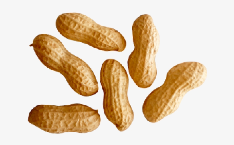 Peanut Png Transparent Images - Peanuts Png Transparent PNG - 640x480 ...