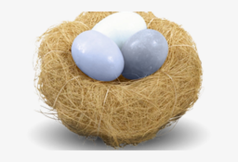 Download Nest Png Transparent Images - Egg In Nest - HD Transparent PNG ...