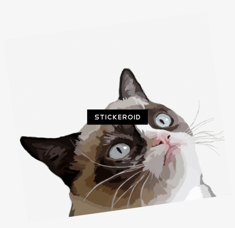 Grumpy Illustration Meme - Schoolsupplies Grumpy Cat Mouse Pad, Office ...