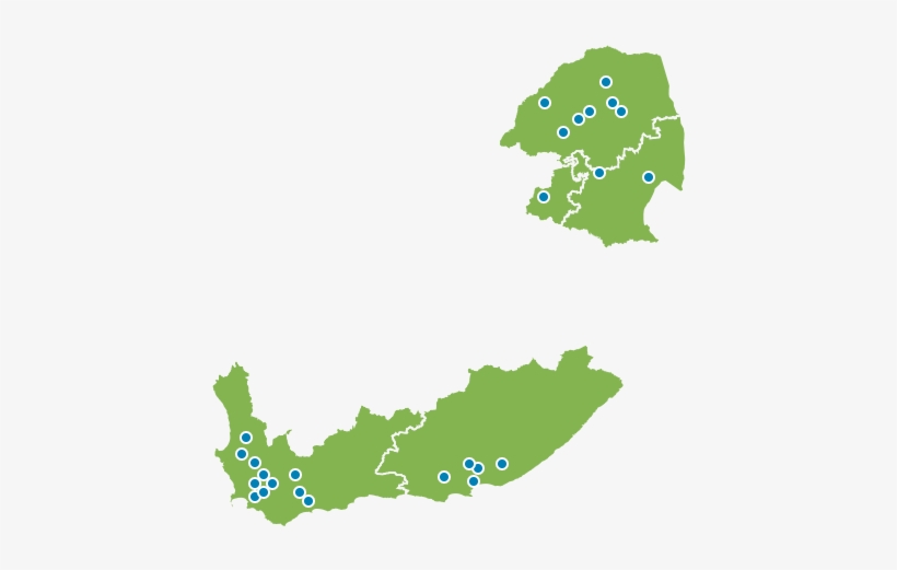 Citrus - South Africa Citrus Areas Transparent PNG - 700x440 - Free ...
