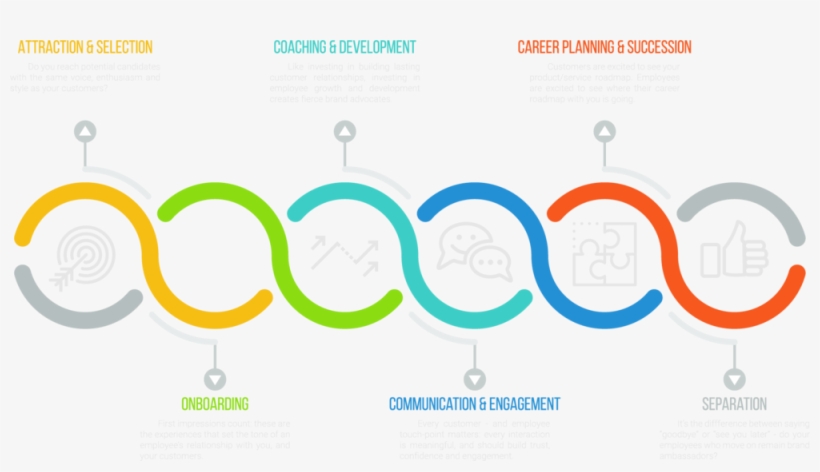 Employee Lifestyle - Employee Lifecycle Transparent PNG - 1000x527 ...