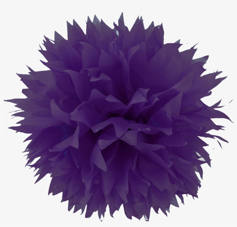 Transparent Pom Pom Png Transparent PNG - 1000x931 - Free Download on ...