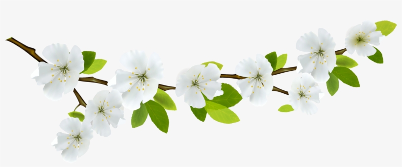 Page Separator Clip Art Floral