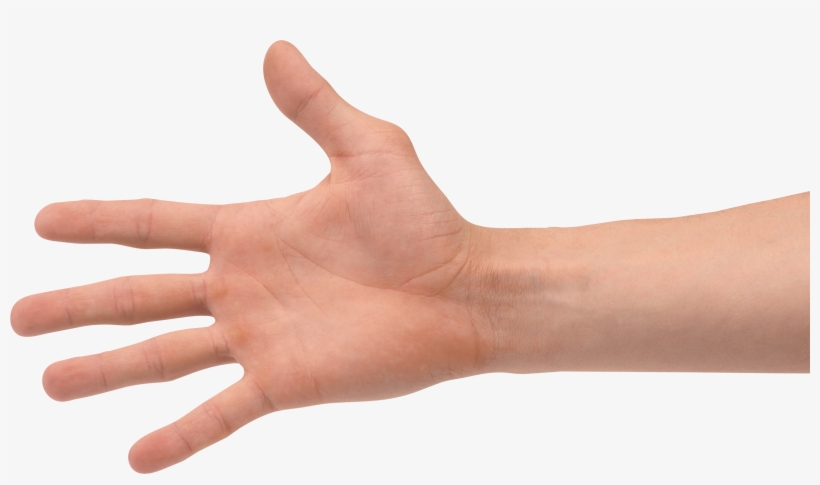 Hands Png Free Images - Transparent Hand Png Transparent PNG ...