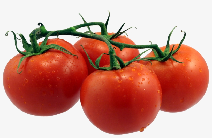 Tomato Png Picture - Transparent Background Tomatoes Png Transparent ...