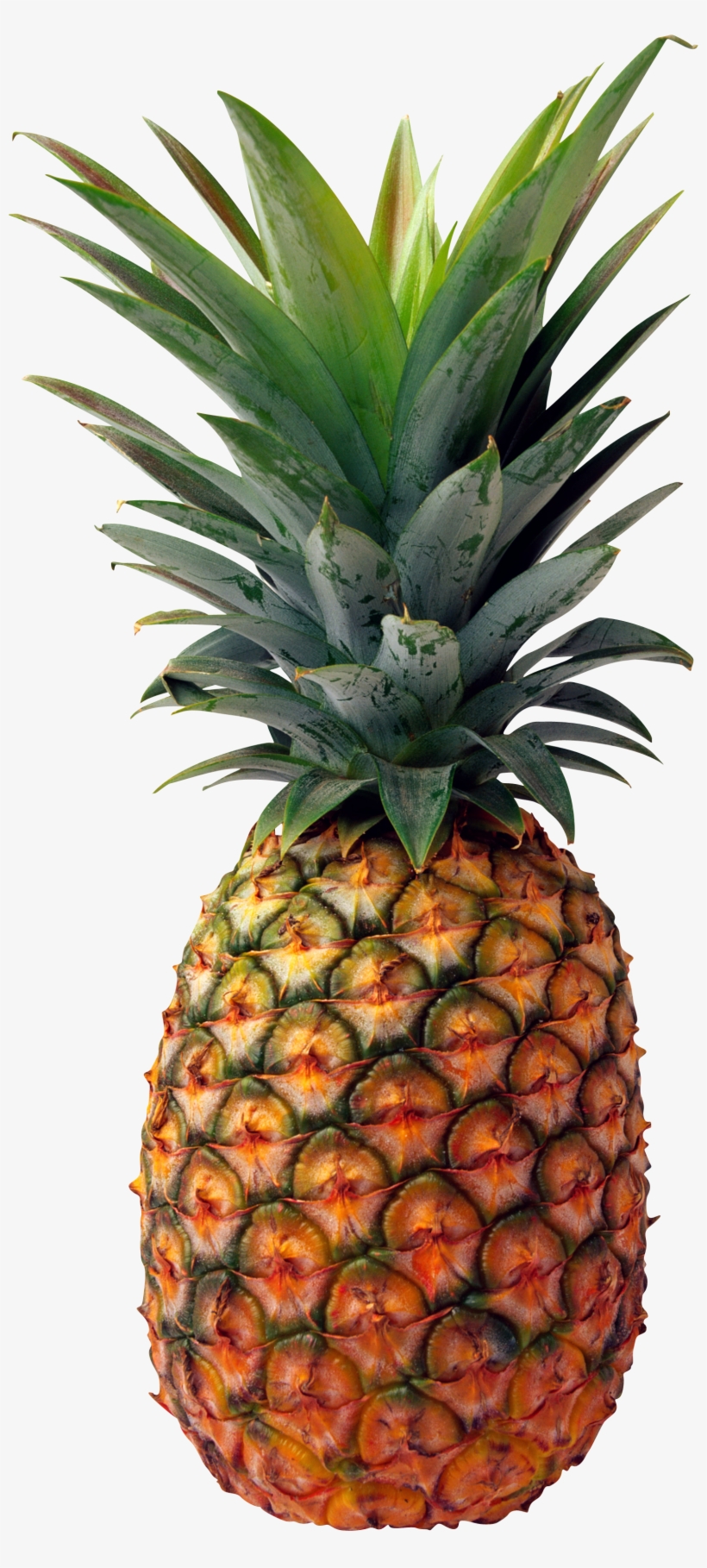 Pineapple Transparent