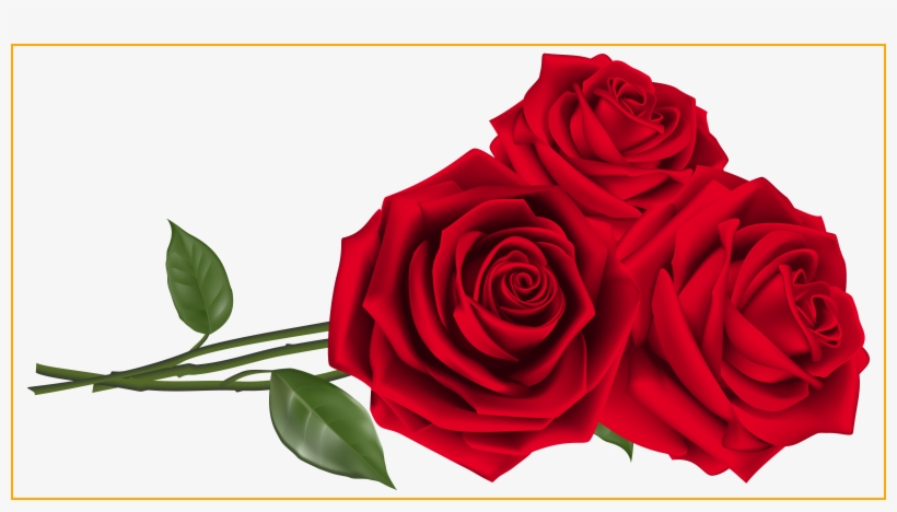 Rose Png Transparent PNG - 6007x3124 - Free Download on NicePNG