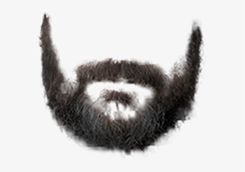 Download Real Beard Png - Beard Png - HD Transparent PNG - NicePNG.com