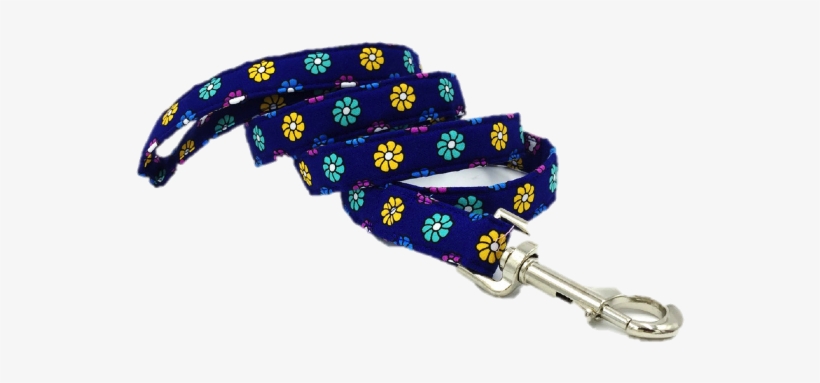 Collar Transparent PNG - 631x631 - Free Download on NicePNG