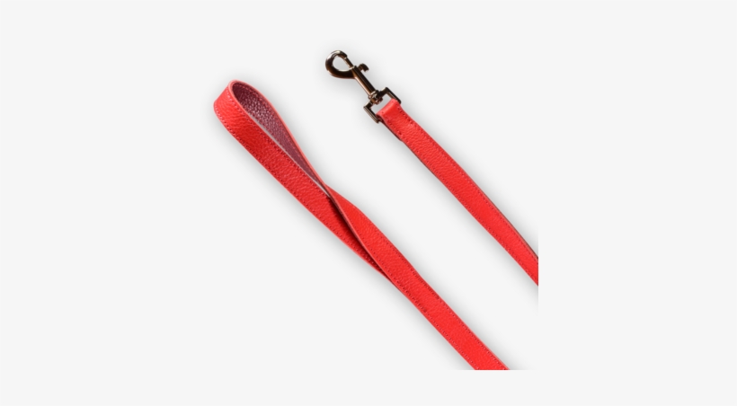 Dog Leash Dog Leash - Strap Transparent PNG - 400x400 - Free Download ...