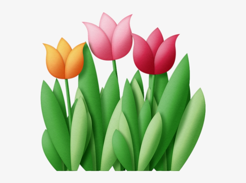 Tulipes, Fleurs Png - Clip Art Easter Flowers Transparent PNG - 550x530 ...
