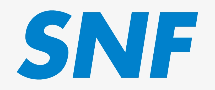 Snf Process - Snf Chemicals Transparent PNG - 691x265 - Free Download ...