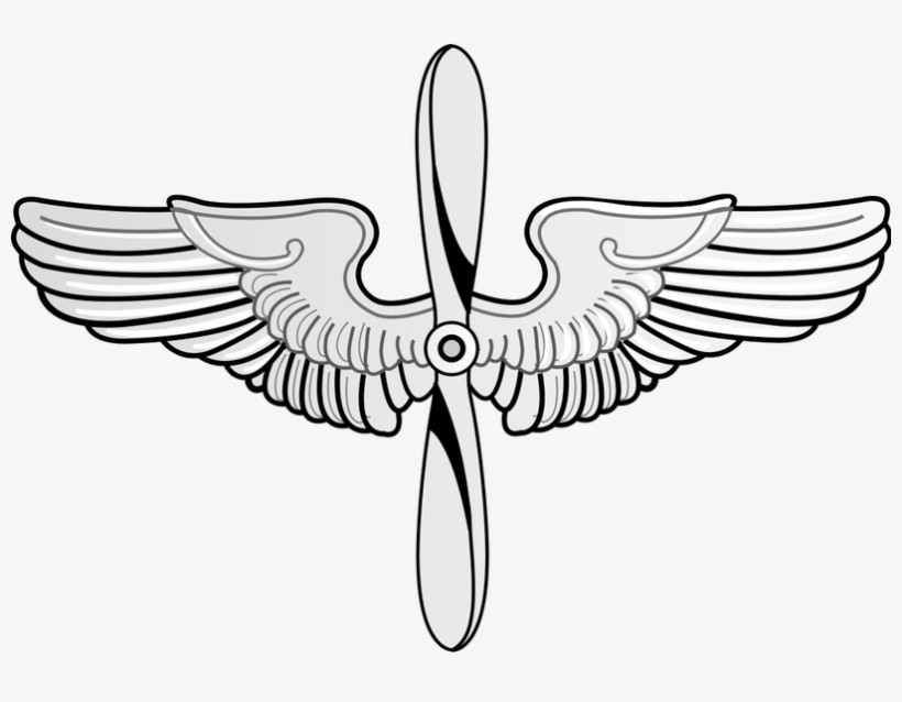 Traditional Prop And Wings Insignia, Currently Used - Air Force Prop ...