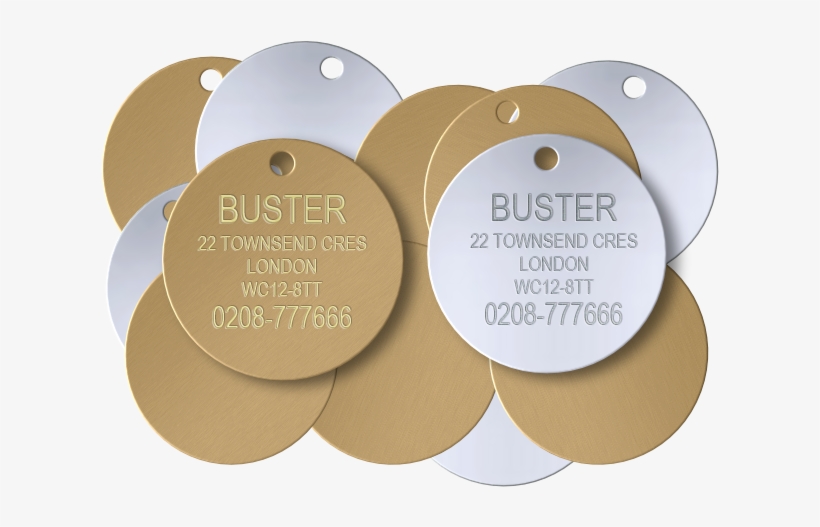 Download Dog Id Tags - Circle - HD Transparent PNG - NicePNG.com
