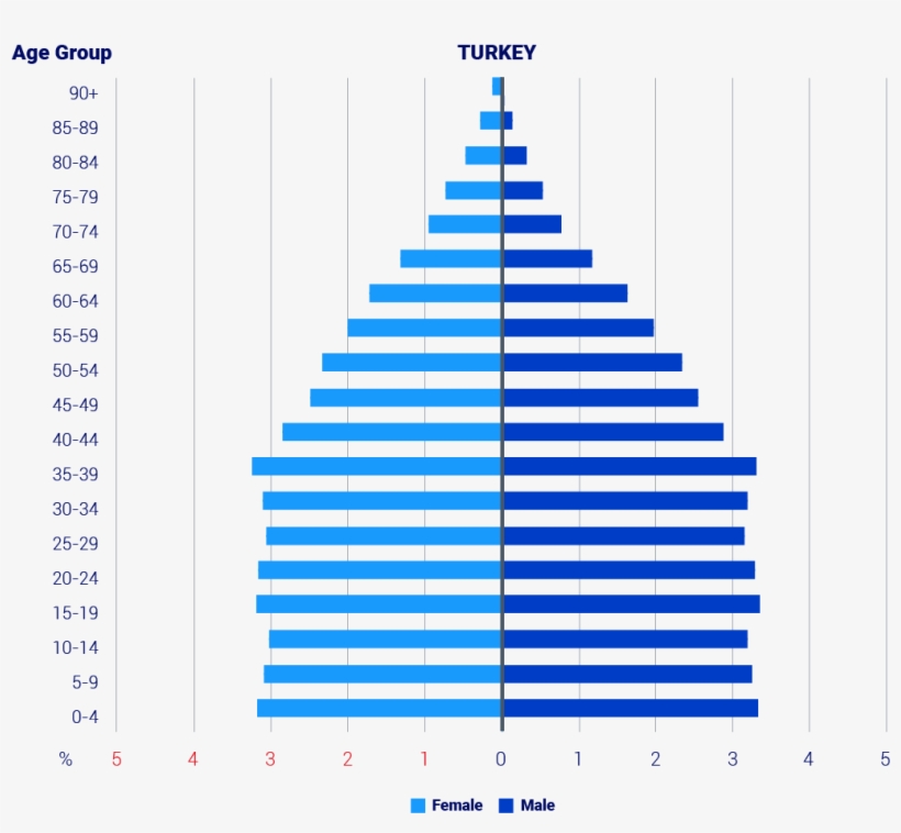 Population-age Group Pyramid - Demography Transparent PNG - 1140x969 ...