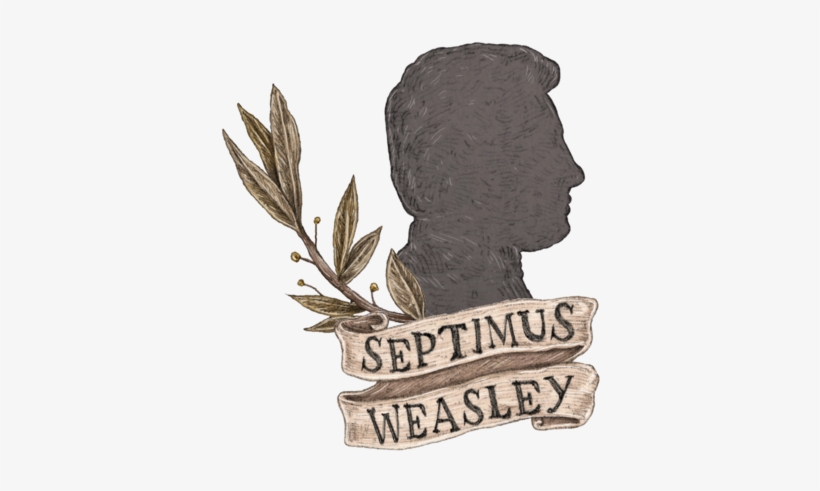 People Septimus Half - Septimus Weasley Transparent PNG - 507x616 ...