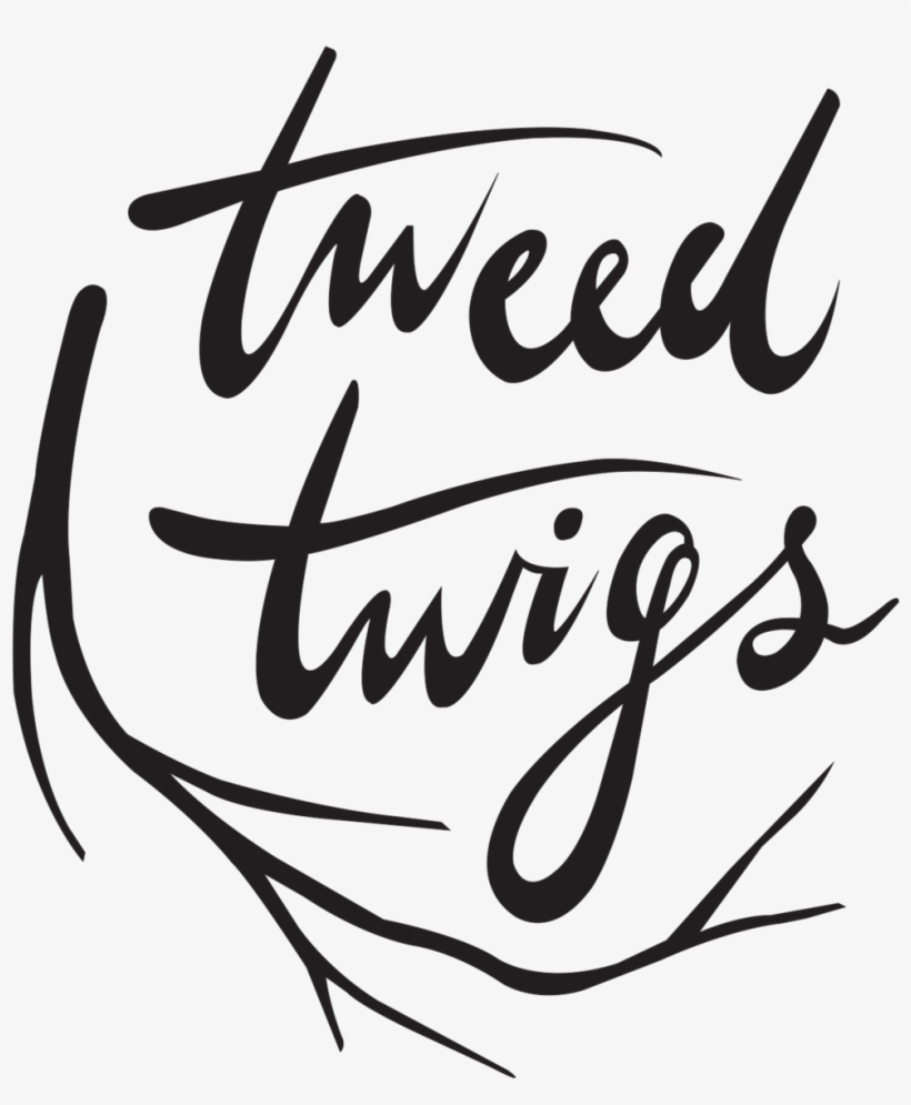 Twigs Png Transparent PNG - 1000x1168 - Free Download on NicePNG