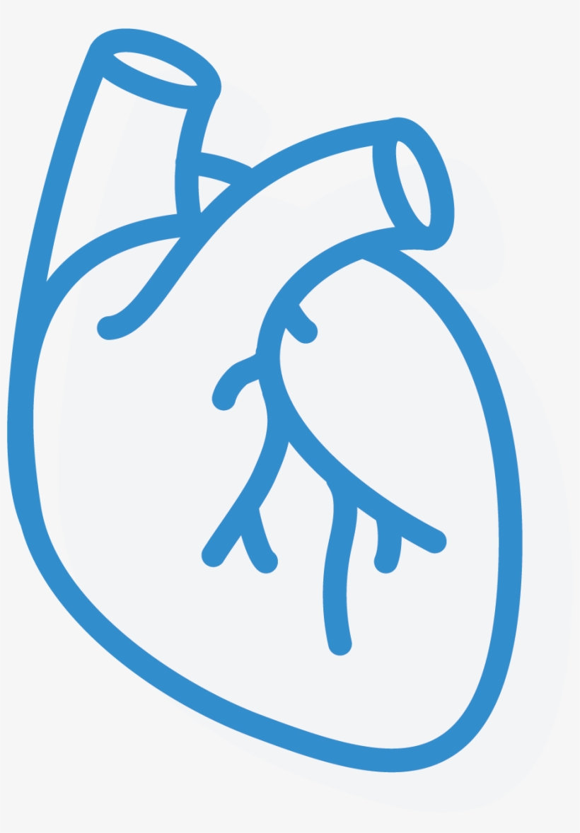 Cardiology Icon