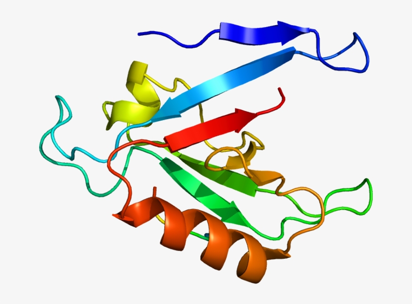 Rims1 Transparent PNG - 714x574 - Free Download on NicePNG