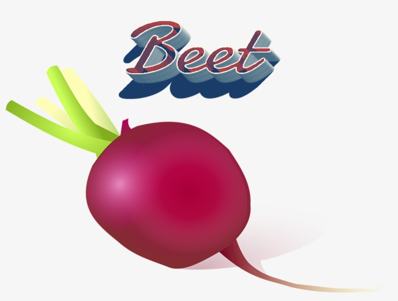 Cartoon Radish Transparent PNG - 1499x1095 - Free Download on NicePNG