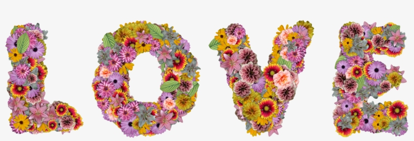 Flower Text Png Transparent PNG - 3000x883 - Free Download on NicePNG