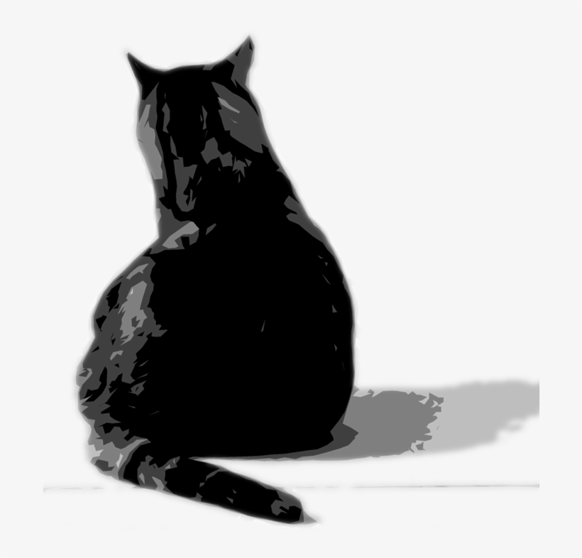 Exceptional Care For Exceptional Cats - Cat Shadow Png Transparent PNG ...