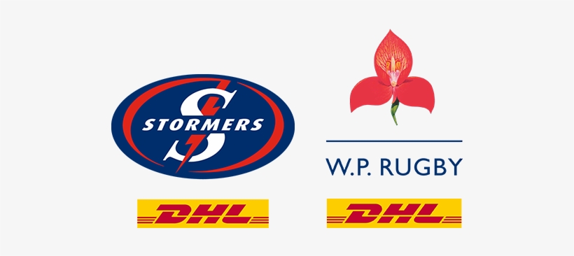 Dhl - Dhl Western Province Logo Transparent PNG - 600x285 - Free ...
