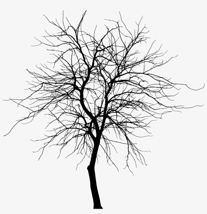 This Free Icons Png Design Of Skinny Tree Silhouette Transparent PNG ...