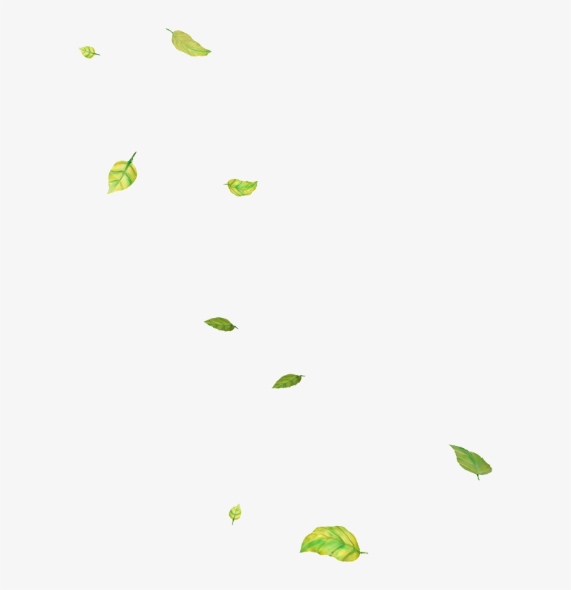 1 - Flying Leaves Png Transparent PNG - 595x768 - Free Download on NicePNG