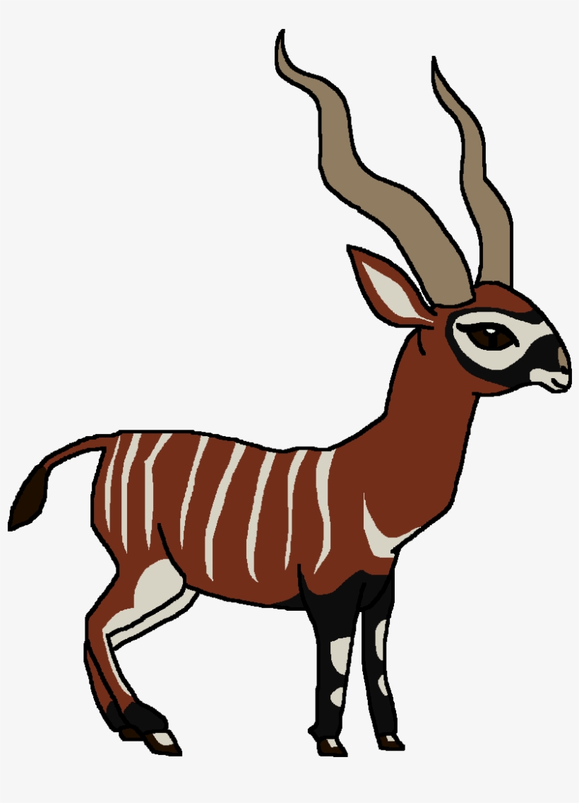 Bongo - Deer Transparent PNG - 845x1071 - Free Download on NicePNG