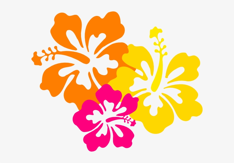 Hibiscus Clipart Png