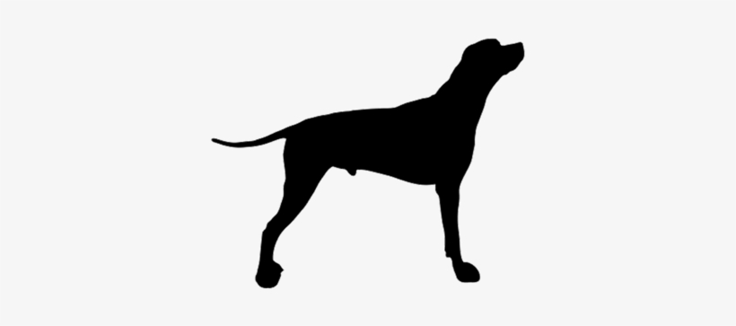 Dog-vector - Dog Shape Transparent PNG - 386x468 - Free Download on NicePNG